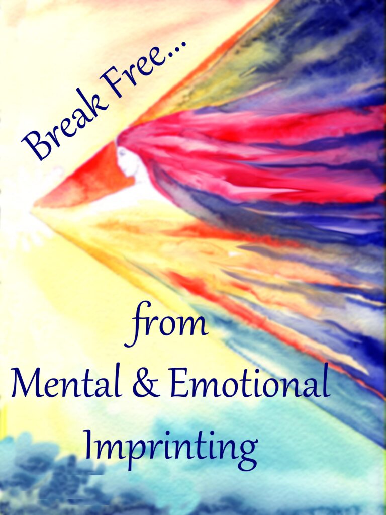 Mental & Emotional Imprinting - The Silence Within - The Silence Within